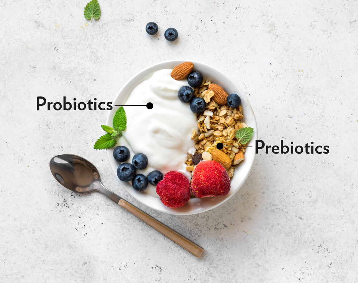 Prebiotic vs. Probiotic with Sarah Scherer | Shaklee